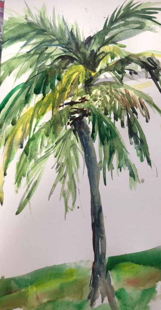 Palm tree practice – Margaret McCarthy Hunt Art