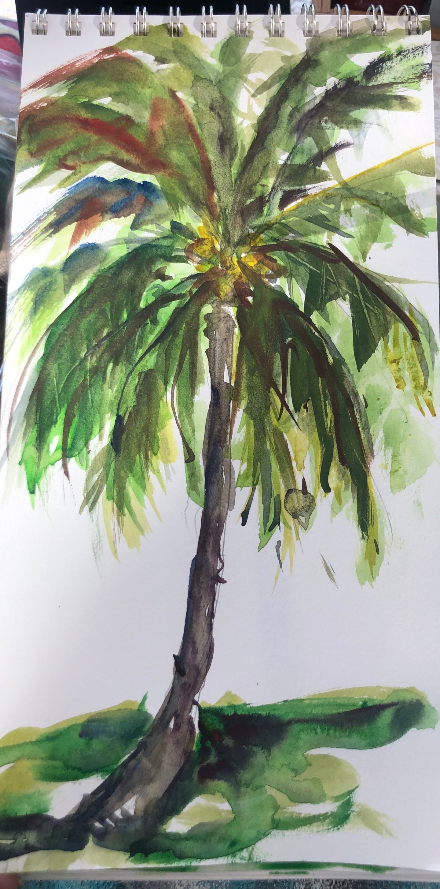 Palm tree practice – Margaret McCarthy Hunt Art