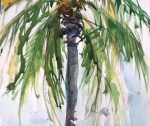 Palm tree practice – Margaret McCarthy Hunt Art
